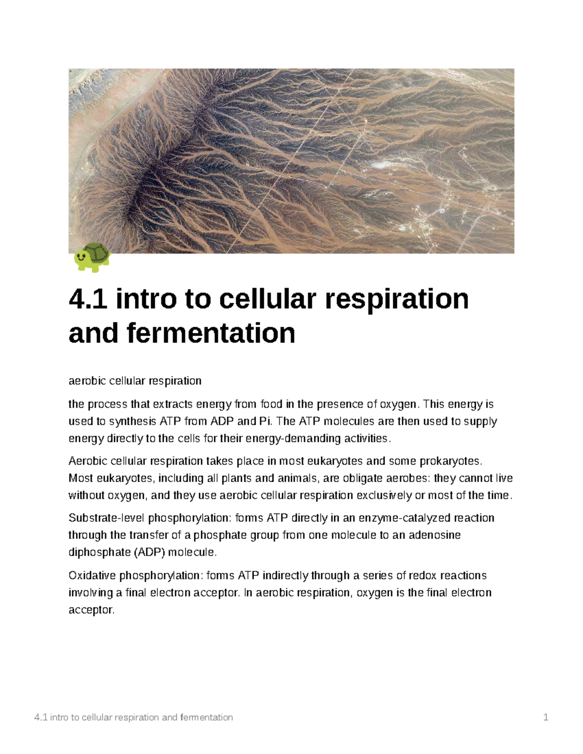 2048514 b-998a-437e-85b5-68692 df6cfe1 4 - 4 intro to cellular ...