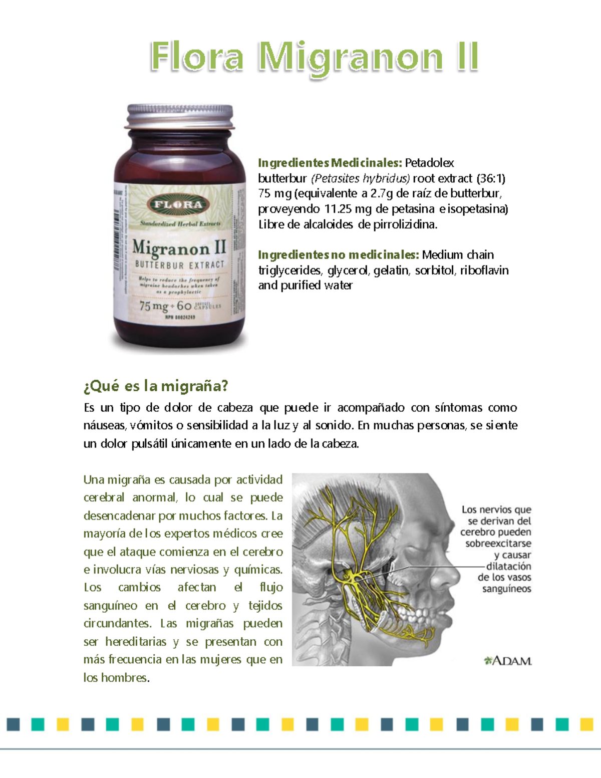 Flora Migranon II - Ingredientes Medicinales:Petadolex butterbur ...