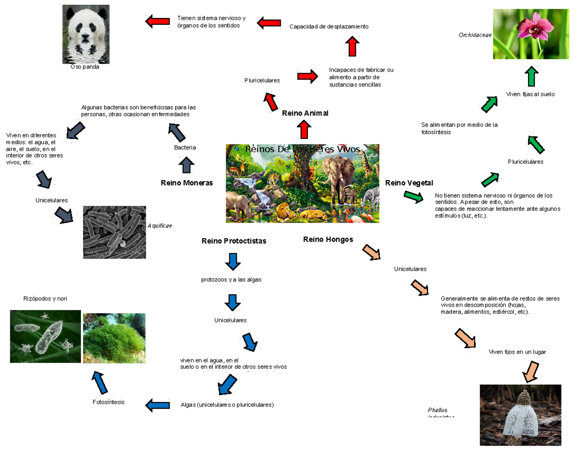 Actividad 1, Practica 2 - Aquificae Unicelulares Viven en diferentes ...