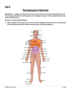 CH01 Human Anatomy - ©McGraw-Hill Education. Chapter 01 Lecture Outline ...