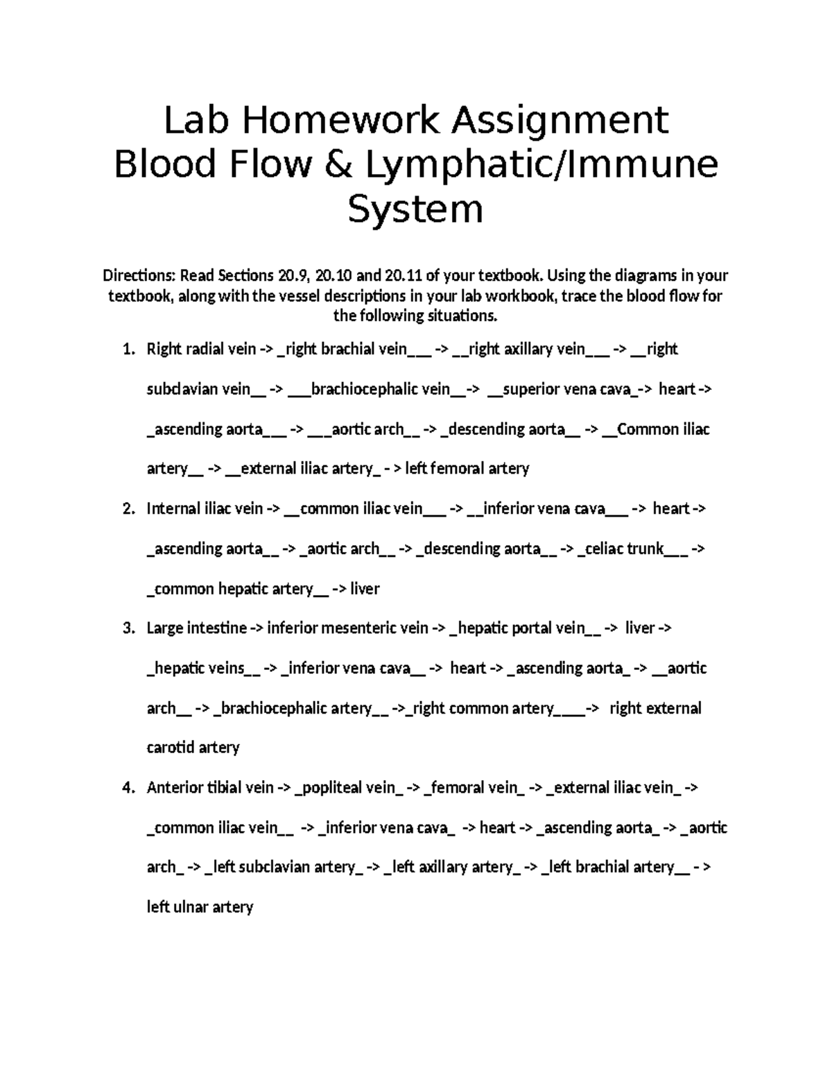 Vanessa Laxamana Blood Vessels & Lymphatic System Lab HW 220 - Lab ...