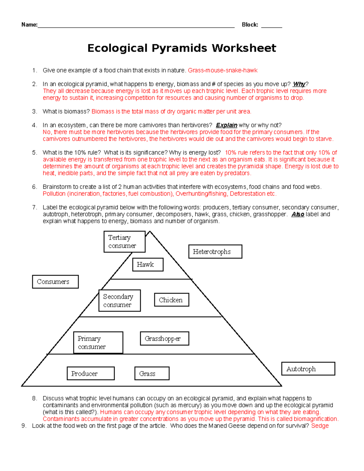 KEY ecological-pyramids-worksheet 2013 - - Studocu