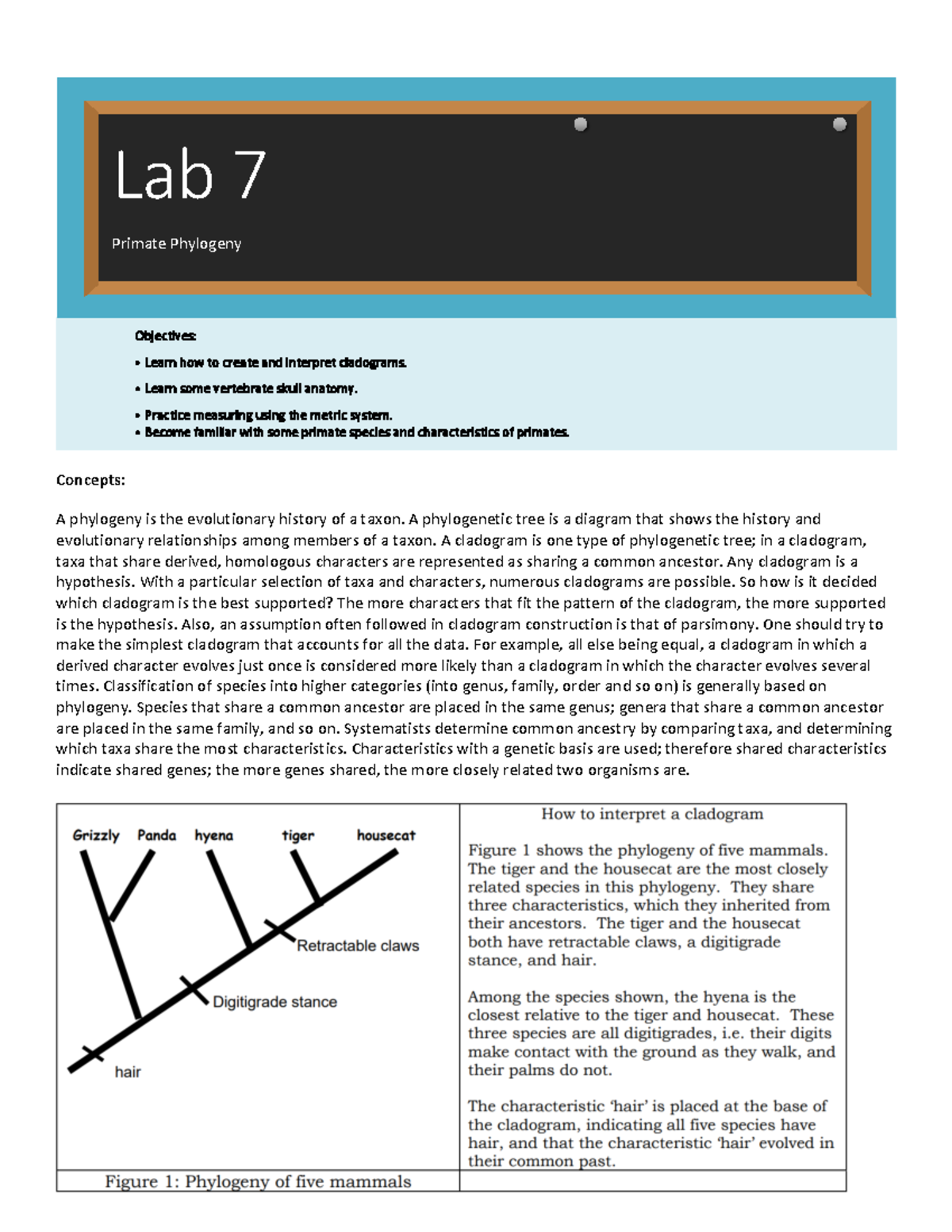 Lab 7 Phylogeny - Completed BIOL 105 Lab 7 - Objectives: Learn how to create and interpret - Studocu