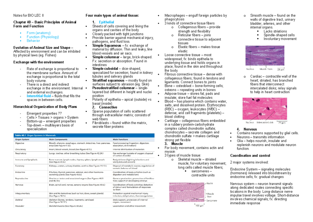 Notes for BIO LEC II - Notes for BIO LEC II Chapter 40 – Basic ...