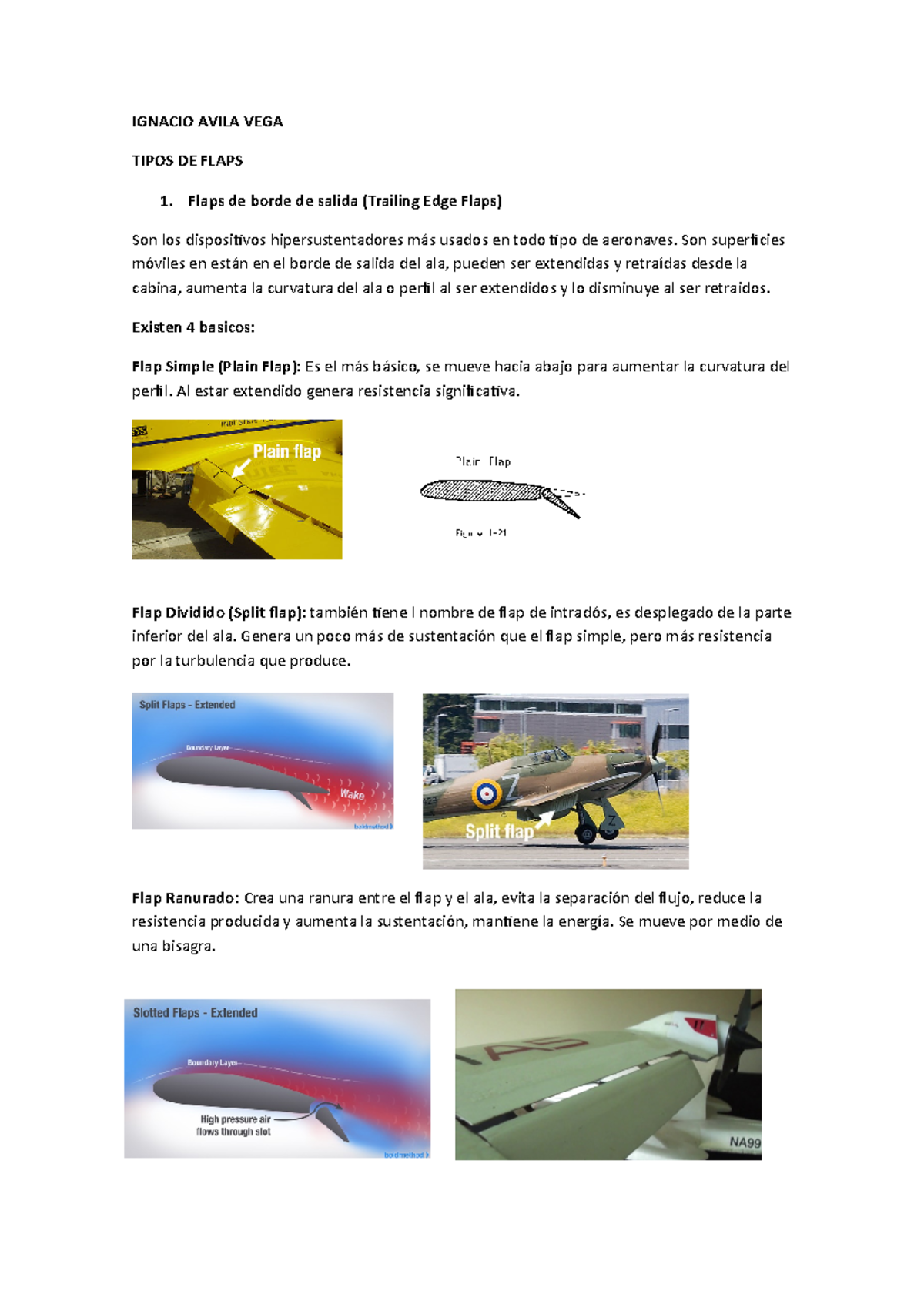 Tipos DE Flaps - IGNACIO AVILA VEGA TIPOS DE FLAPS 1. Flaps de borde de salida (Trailing Edge ...