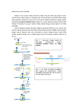 Biologi Molekular - Istilah pada materi Struktur DNA RNA dan ...