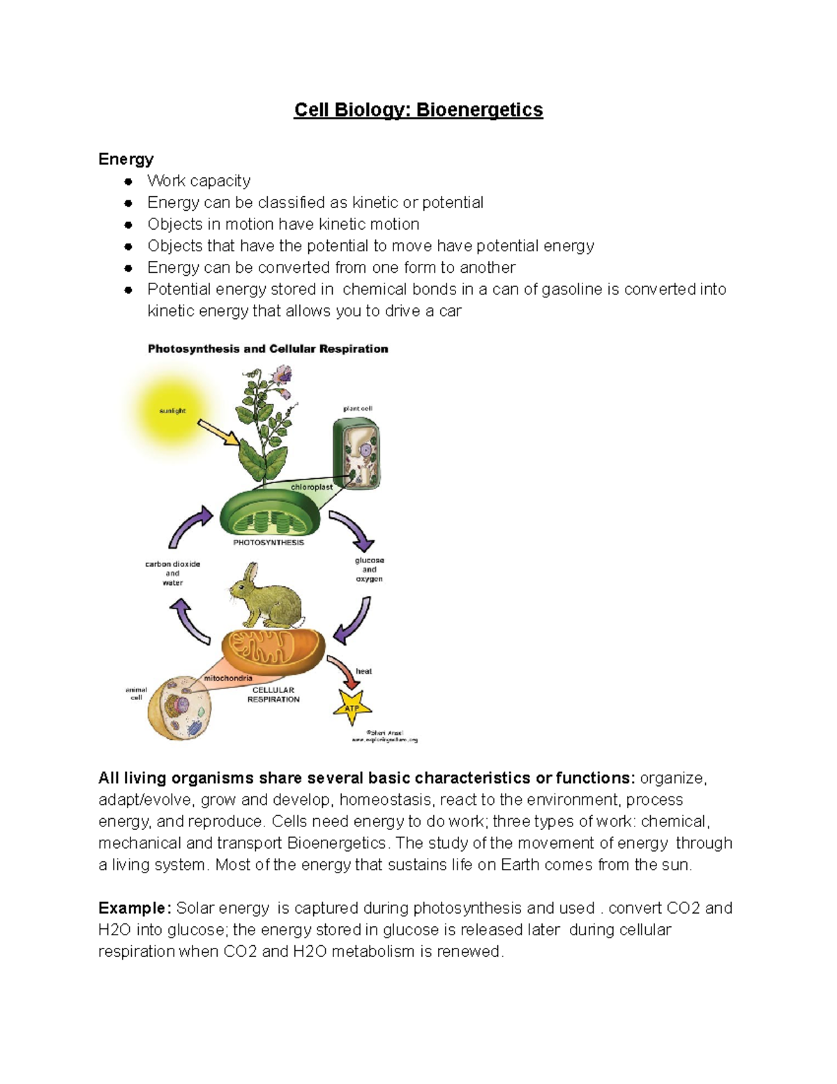 Cell Biology Bioenergetics - Cell Biology: Bioenergetics Energy Work ...