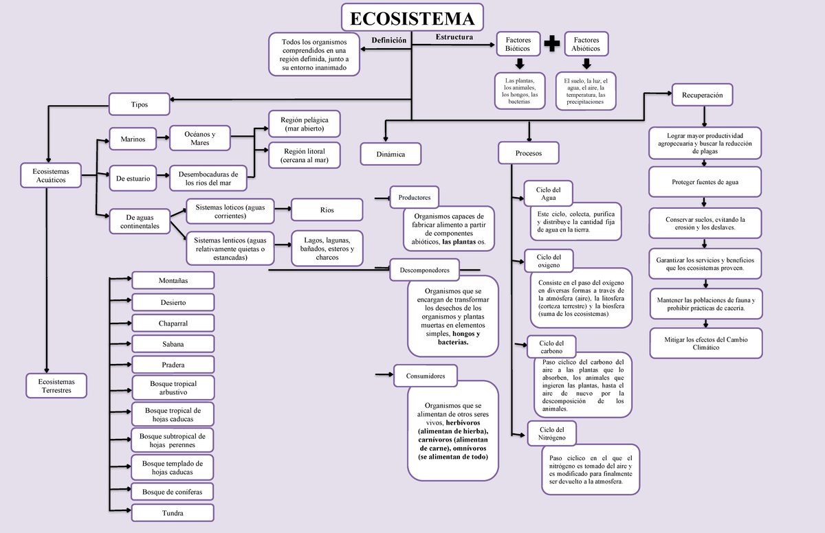 Mapa conceptual del Ecosistema - ECOSISTEMA Todos los organismos comprendidos en una región ...