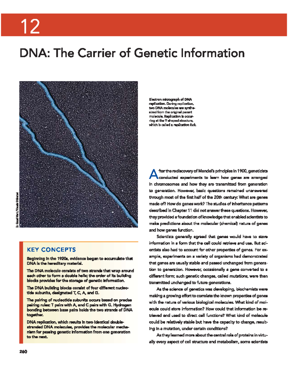 Chapter 12- DNA The carrier of genetic information - general biology ...