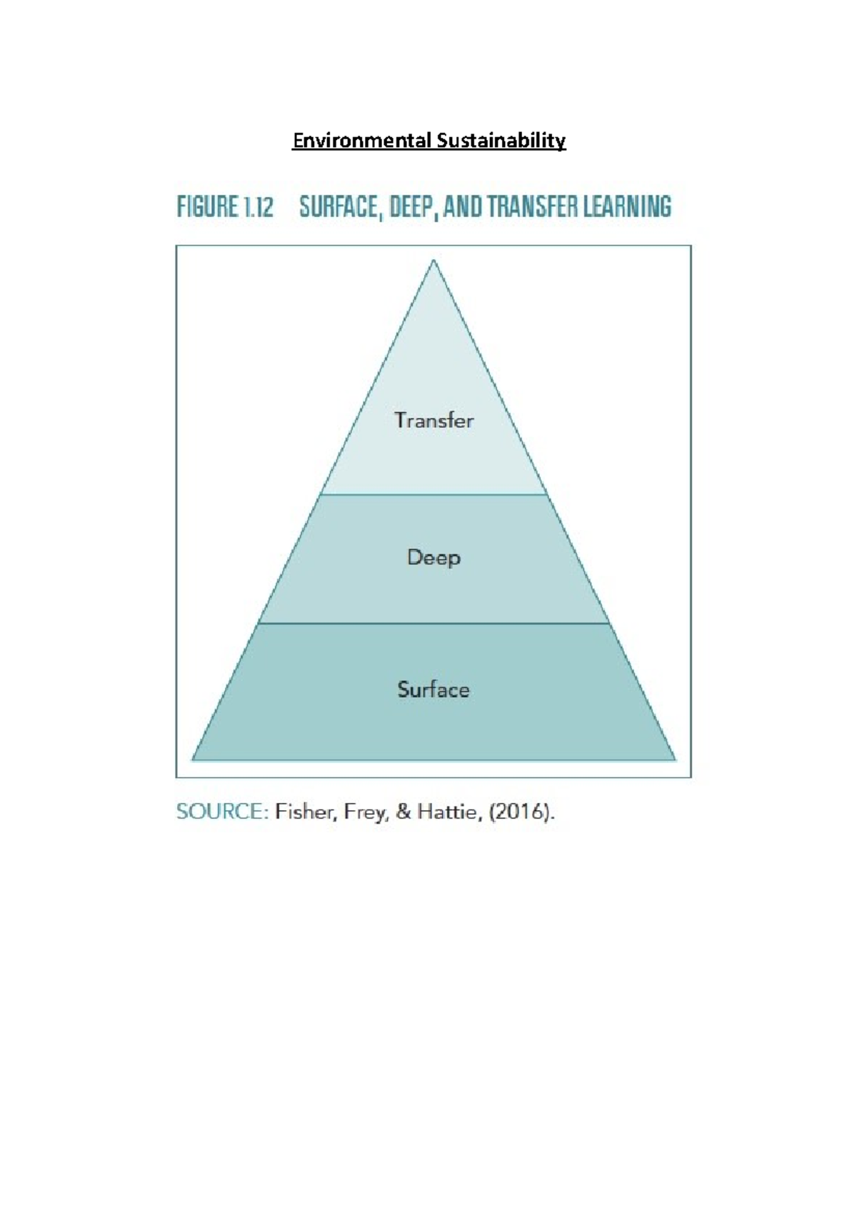 Environmental Sustainability - key terms, HSC question and 'learn to ...