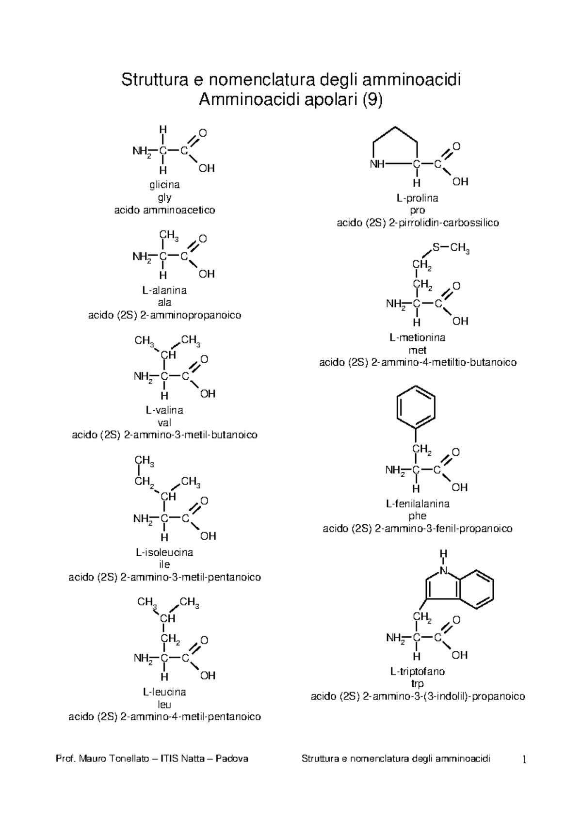 Amminoacidi struttura e nomenclatura - Prof. Mauro Tonellato – ITIS ...