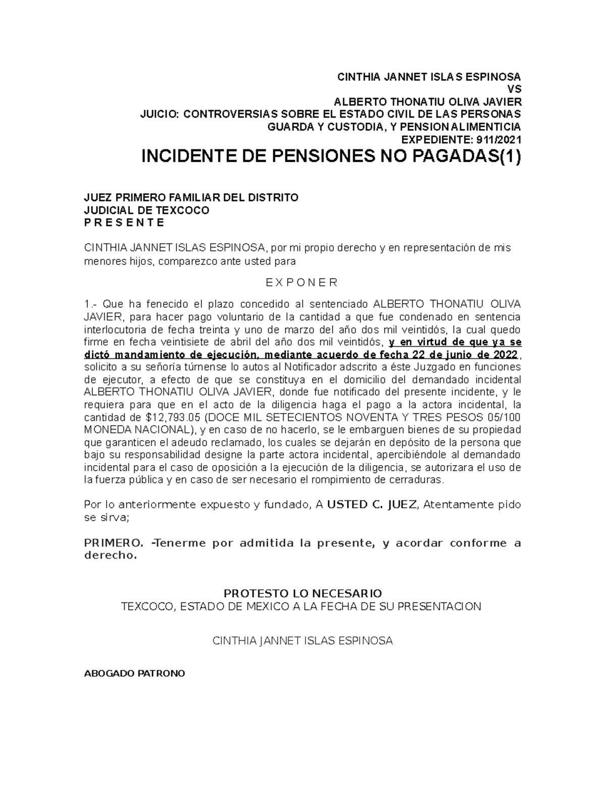 Cinthia Jannet Islas Espinoza Incidentes - CINTHIA JANNET ISLAS ...