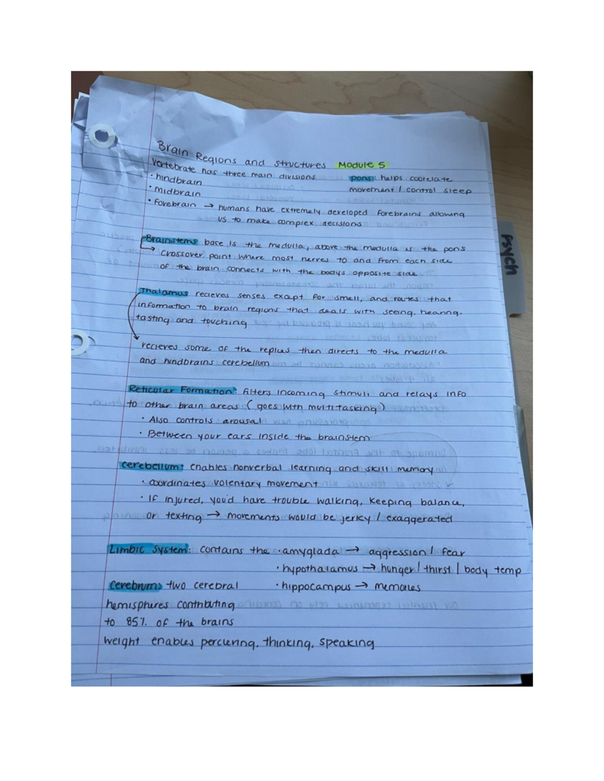 Modules 5,6,12 Modules 5,6,12 - module 5: Brain Regions and Structures ...