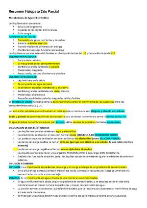 Resumen funciones corporales integradoras - FUNCIONES CORPORALES ...