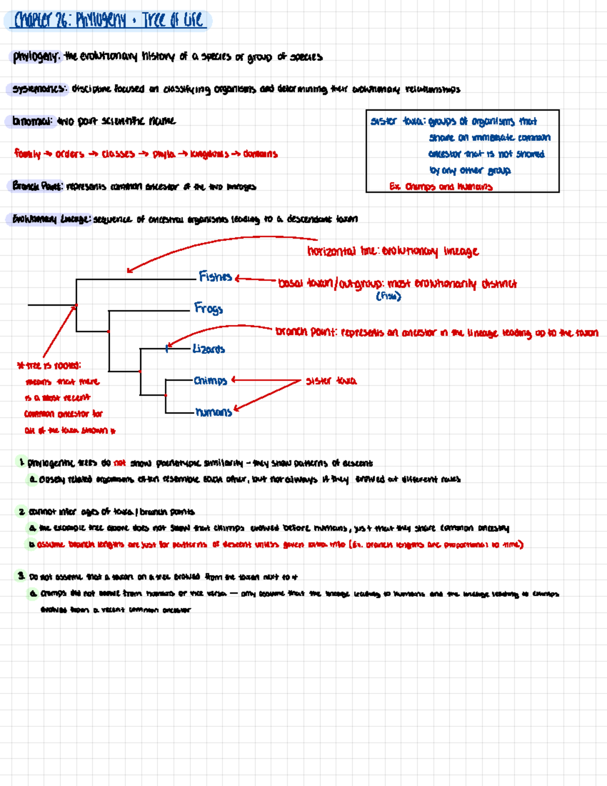 Biology Chapter 26 Written Notes - Chapter 26: Phylogeny Tree Of life ...