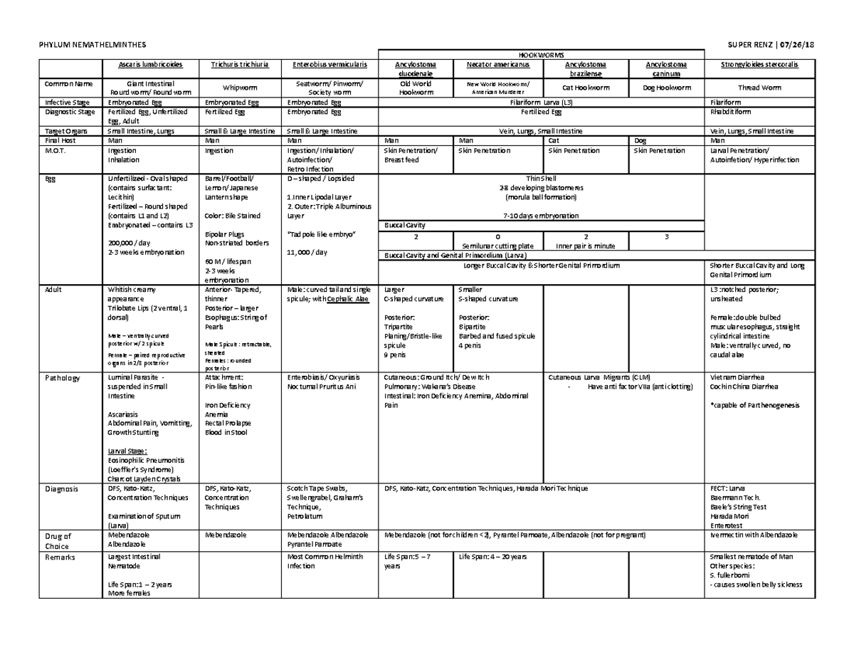 Nematode - Warning: TT: undefined function: 32 Warning: TT: undefined function: 32 PHYLUM - Studocu