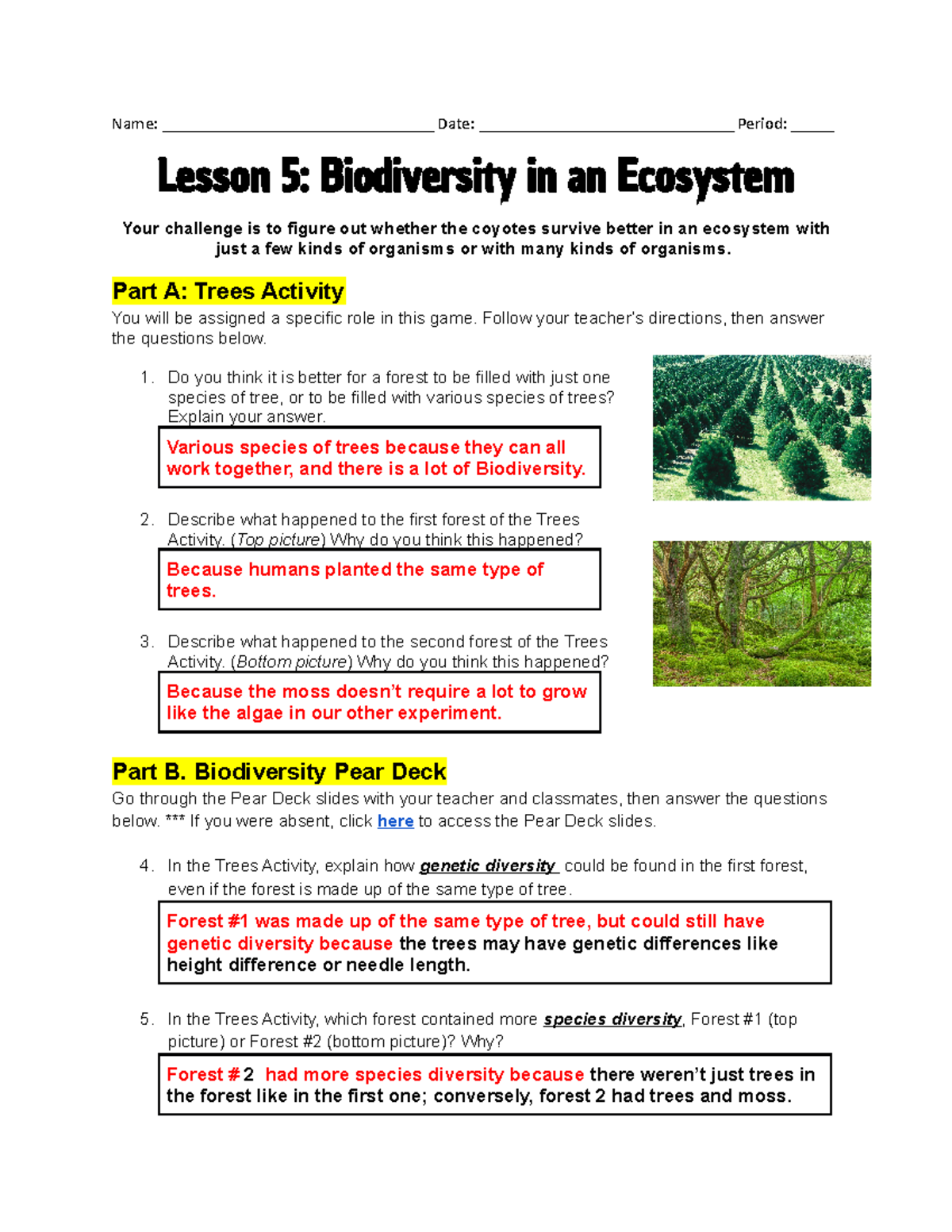 Biodiversity in an Ecosystem 2023 - Name ...