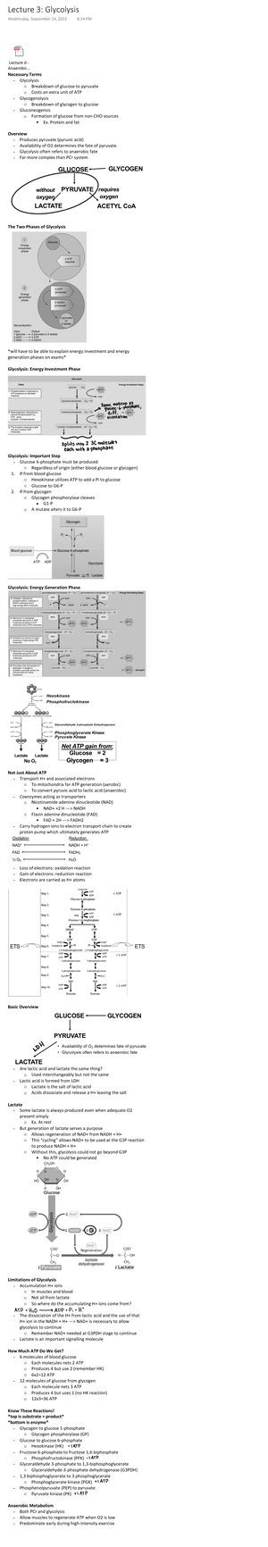 Central Fatigue- Dr. Kalmar - By Isa p?curid=40535419 ttps:commons ...