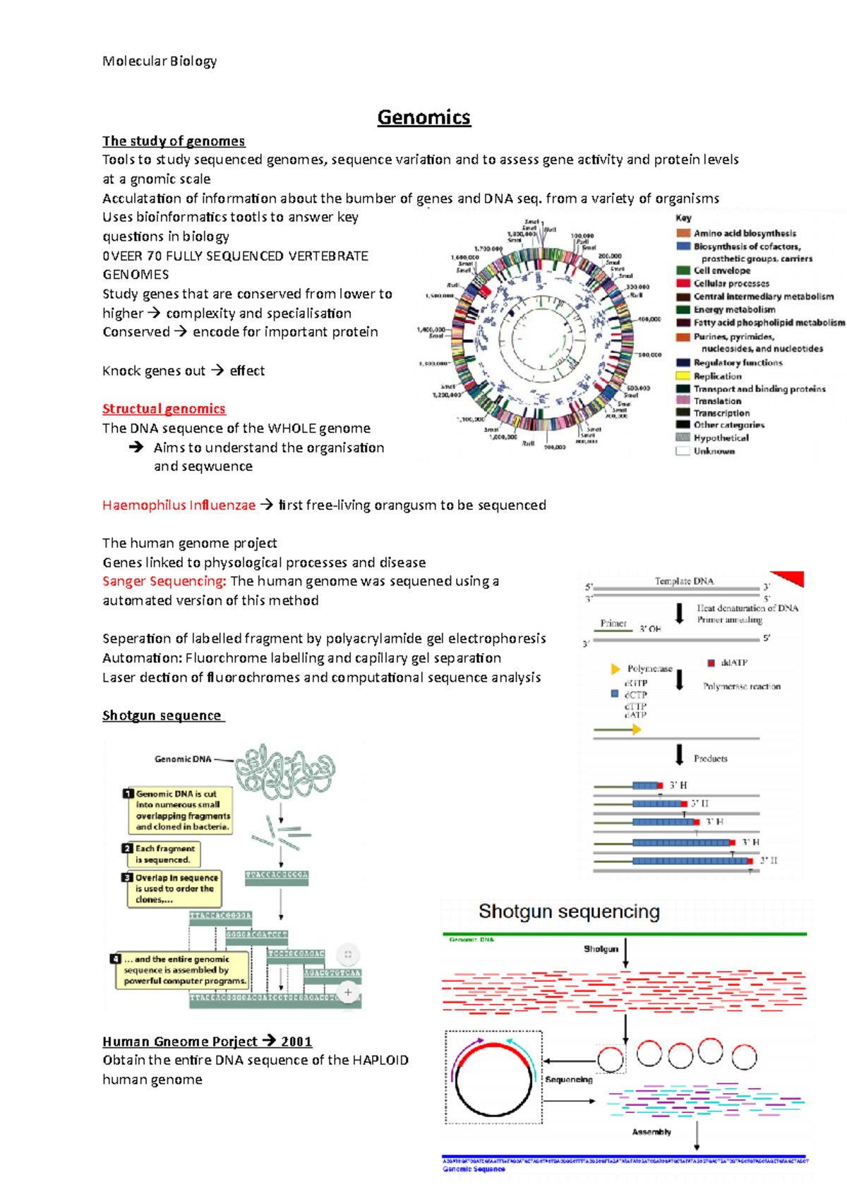 Genomics - notes - Genomics The study of genomes Tools to study ...