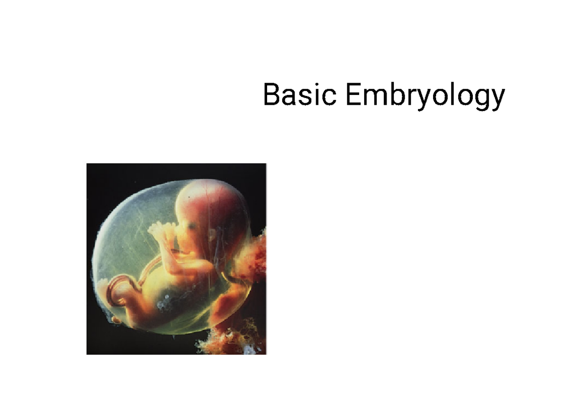 Basic introduction to Embryology - Nursing - Studocu