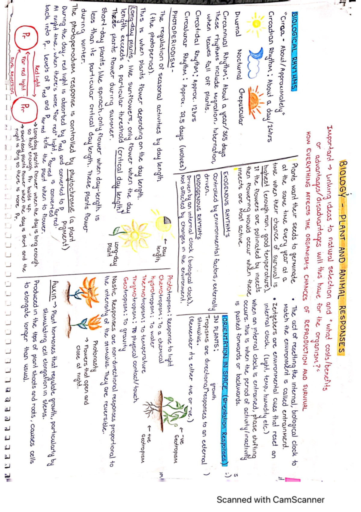 Level 3 Bio - Plant and Animal Responses - Biology - Studocu