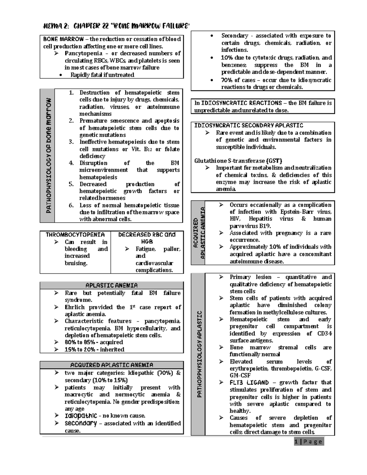 BONE- Marrow-1 - Maam Rachel - Can result in bleeding and increased ...