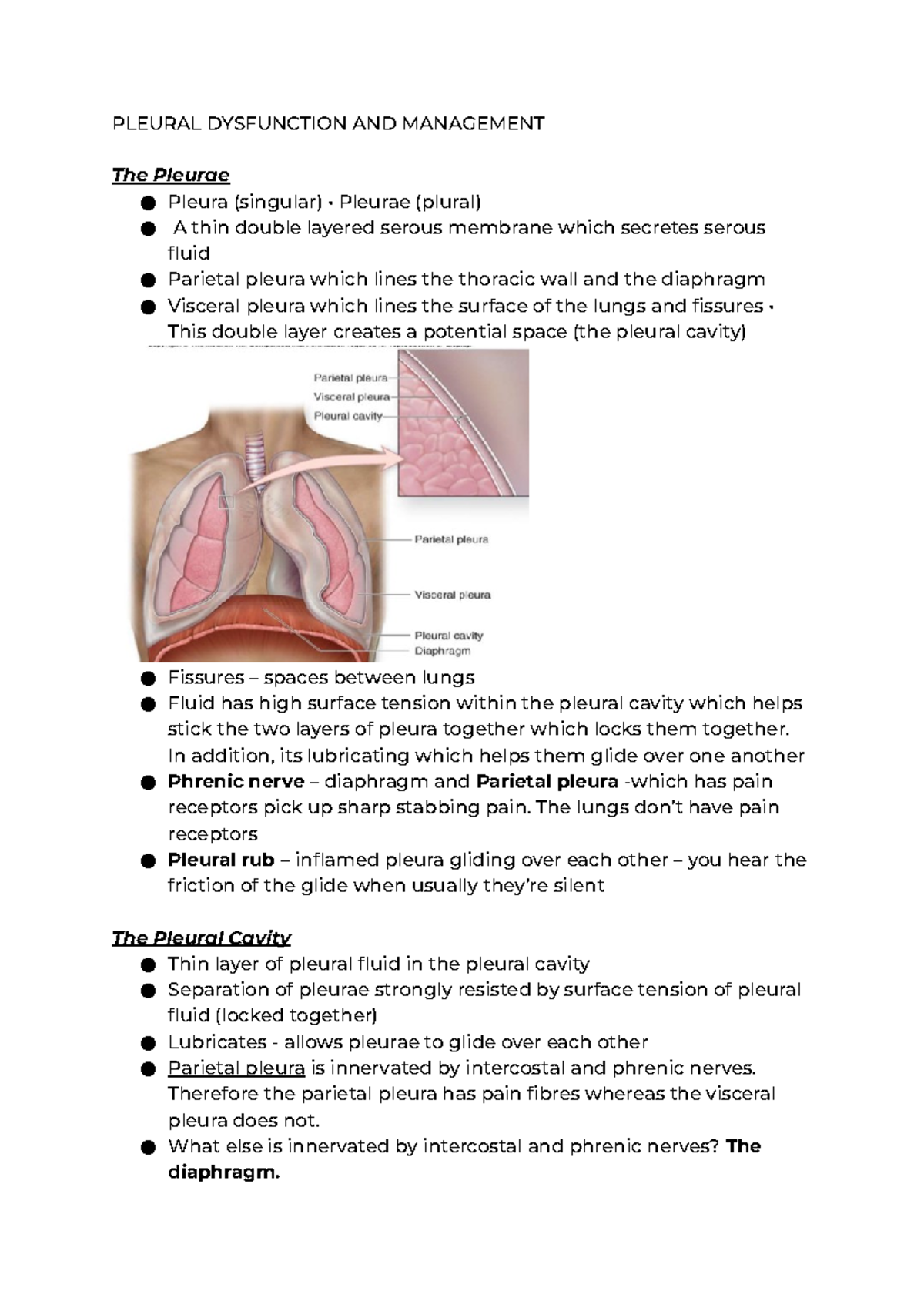 Respiratory Lecture4 notes - PLEURAL DYSFUNCTION AND MANAGEMENT The ...
