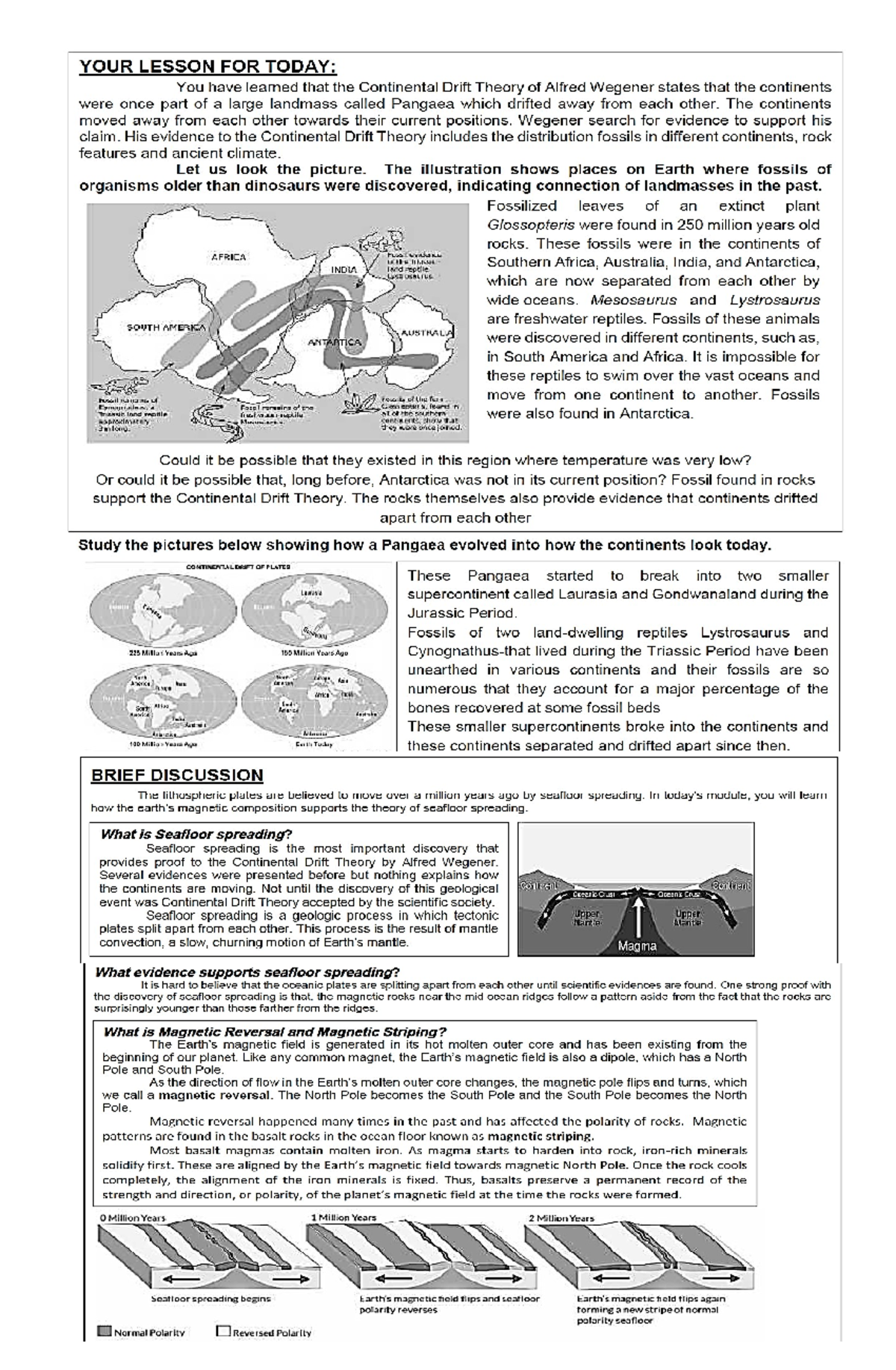 G10 sea floor - science - YOUR LESSON FOR TODAY: You have learned that ...