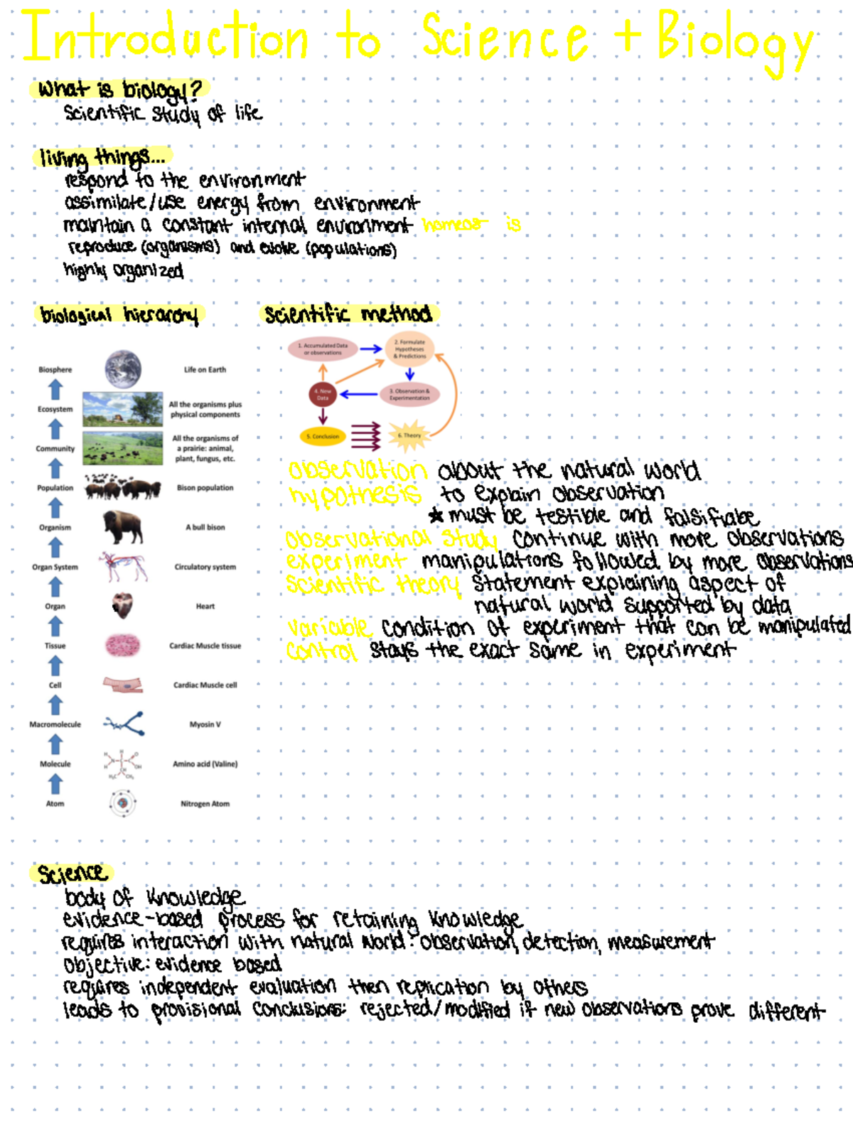 Introduction to science and biology - n r u c o science What is biology ...
