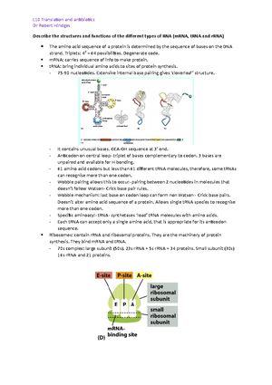 Lecture 3&4 - Oxygen Binding Protiens - Fundamental Biochemistry ...