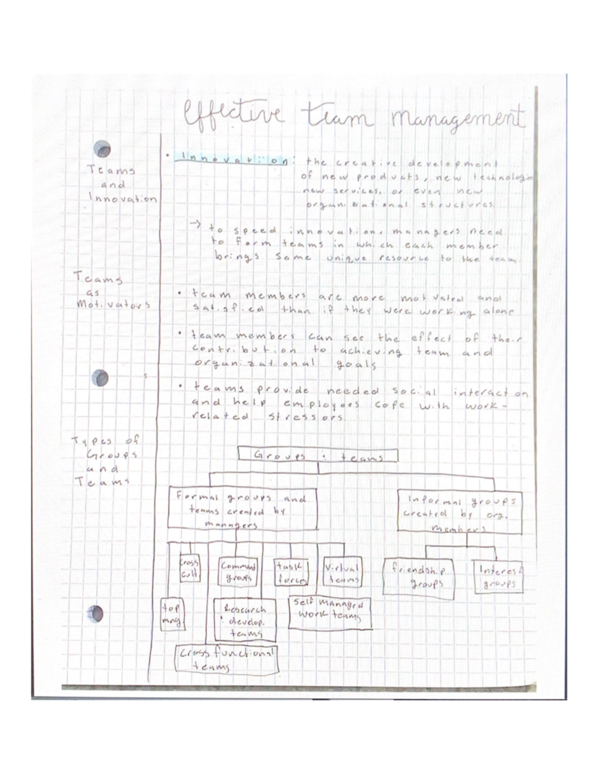 Effective Team Management - CMR 261 - Studocu