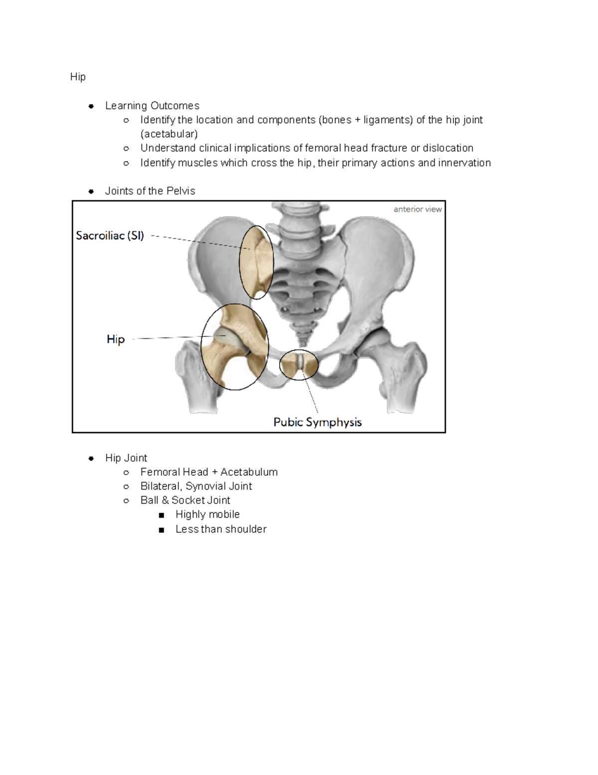 Hip - Hip - Hip Learning Outcomes Identify the location and components ...