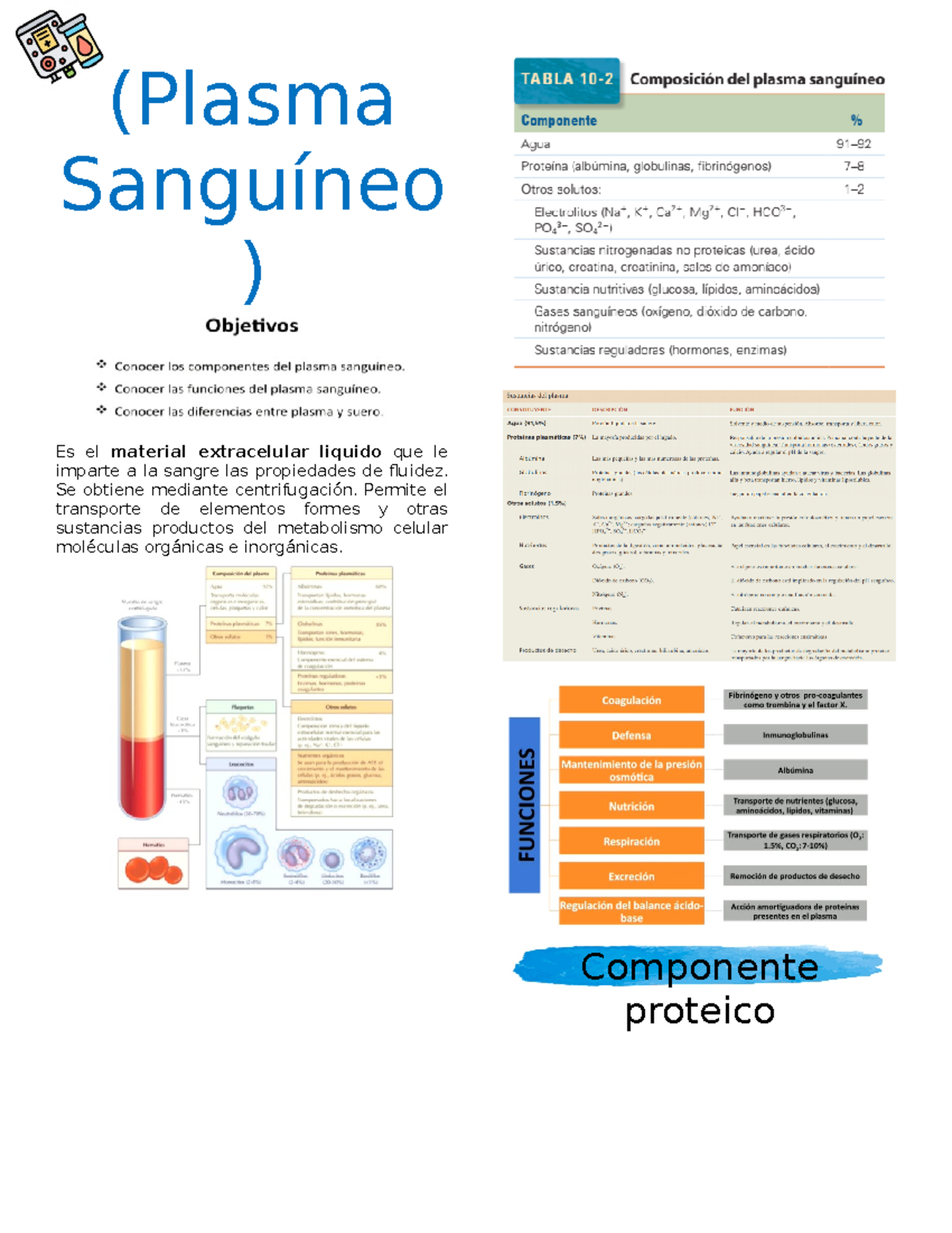 Plasma Sanguíneo - (Plasma Sanguíneo ) Es el material extracelular ...