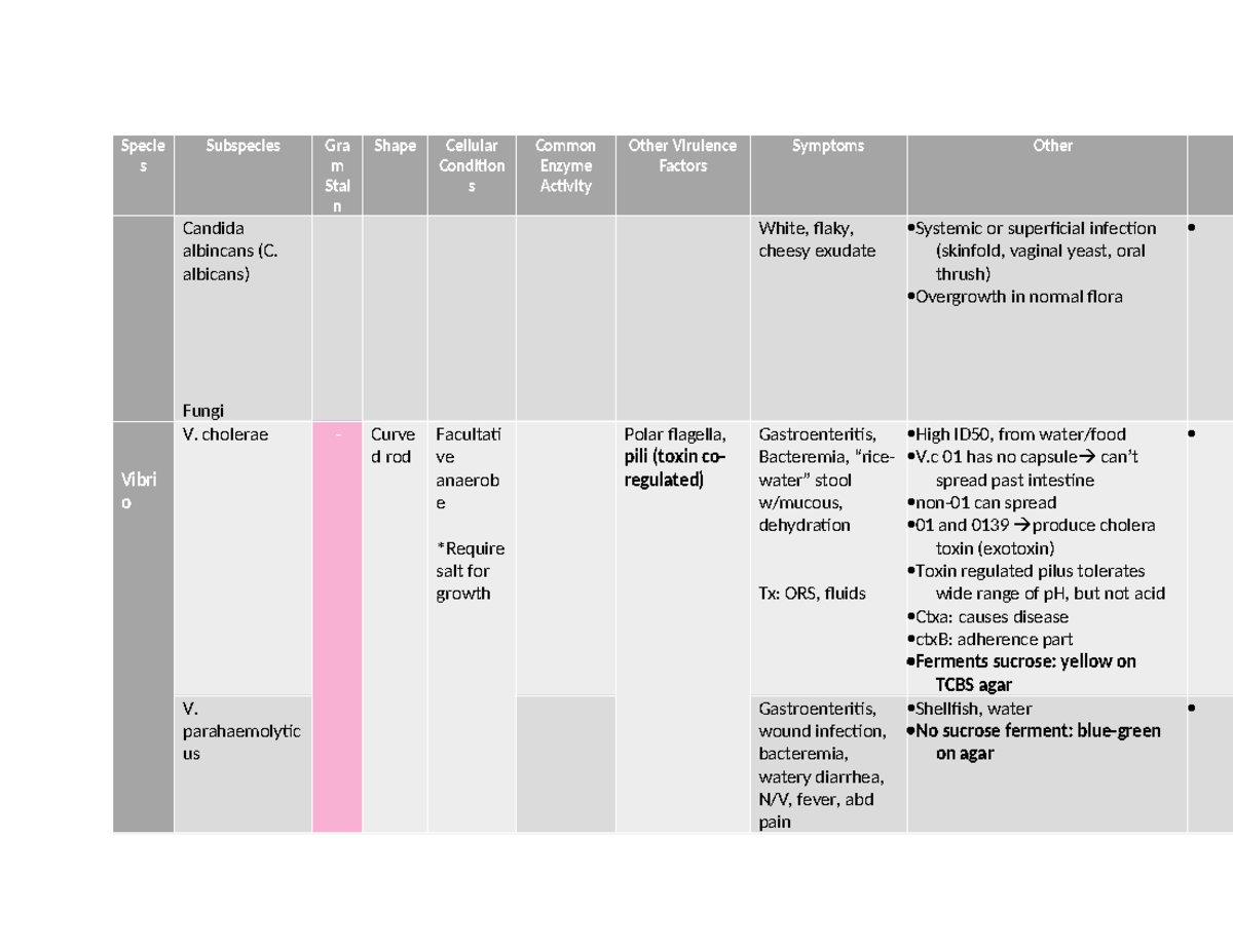 Bacteria Table - Specie s Subspecies Gra m Stai n Shape Cellular ...