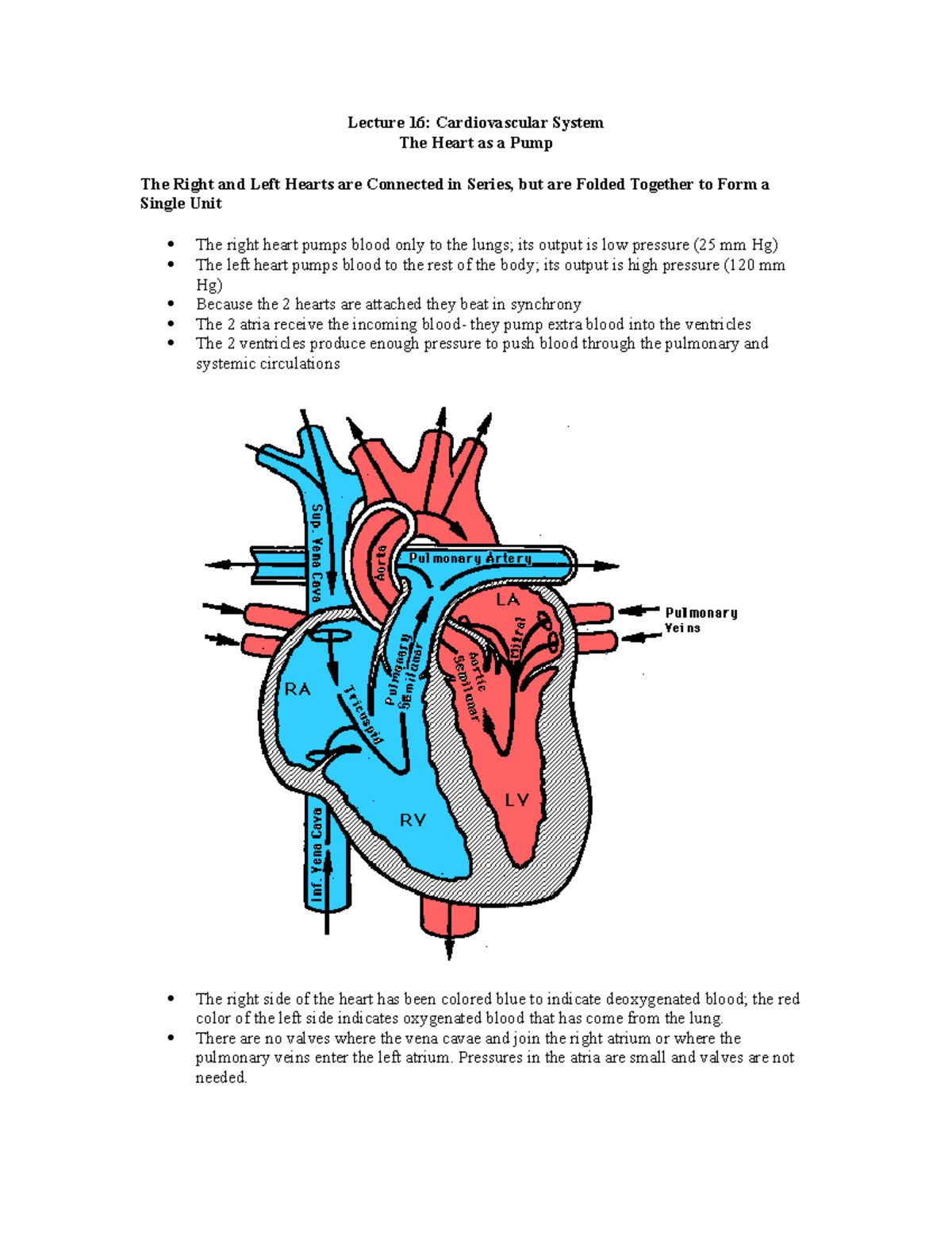 Lecture 22 Human Physiology Heart as a Pump - Lecture 16 ...