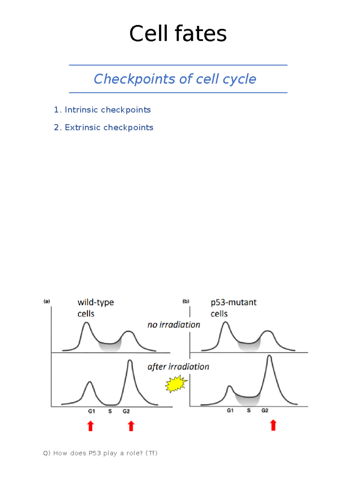 Cell fates 1 - fully detailed - Cell fates Checkpoints of cell cycle 1 ...