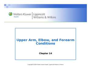 Foot - Foot - Knee Evaluation Review of the basics • Tibiofemoral Joint ...