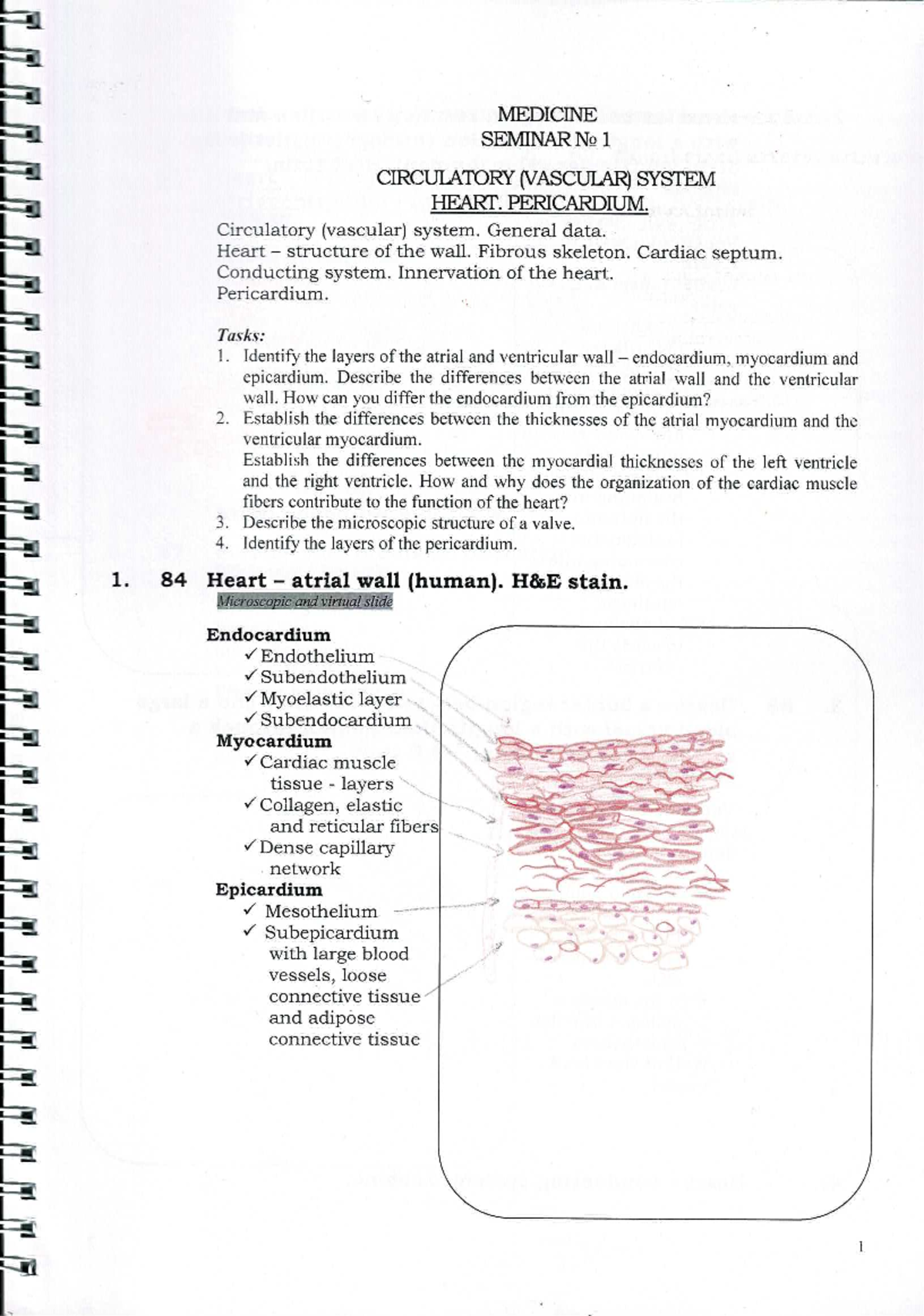 Cyto.Workbook - Cytology Seminare, workbook ausgefüllt, Zeichnungen von ...