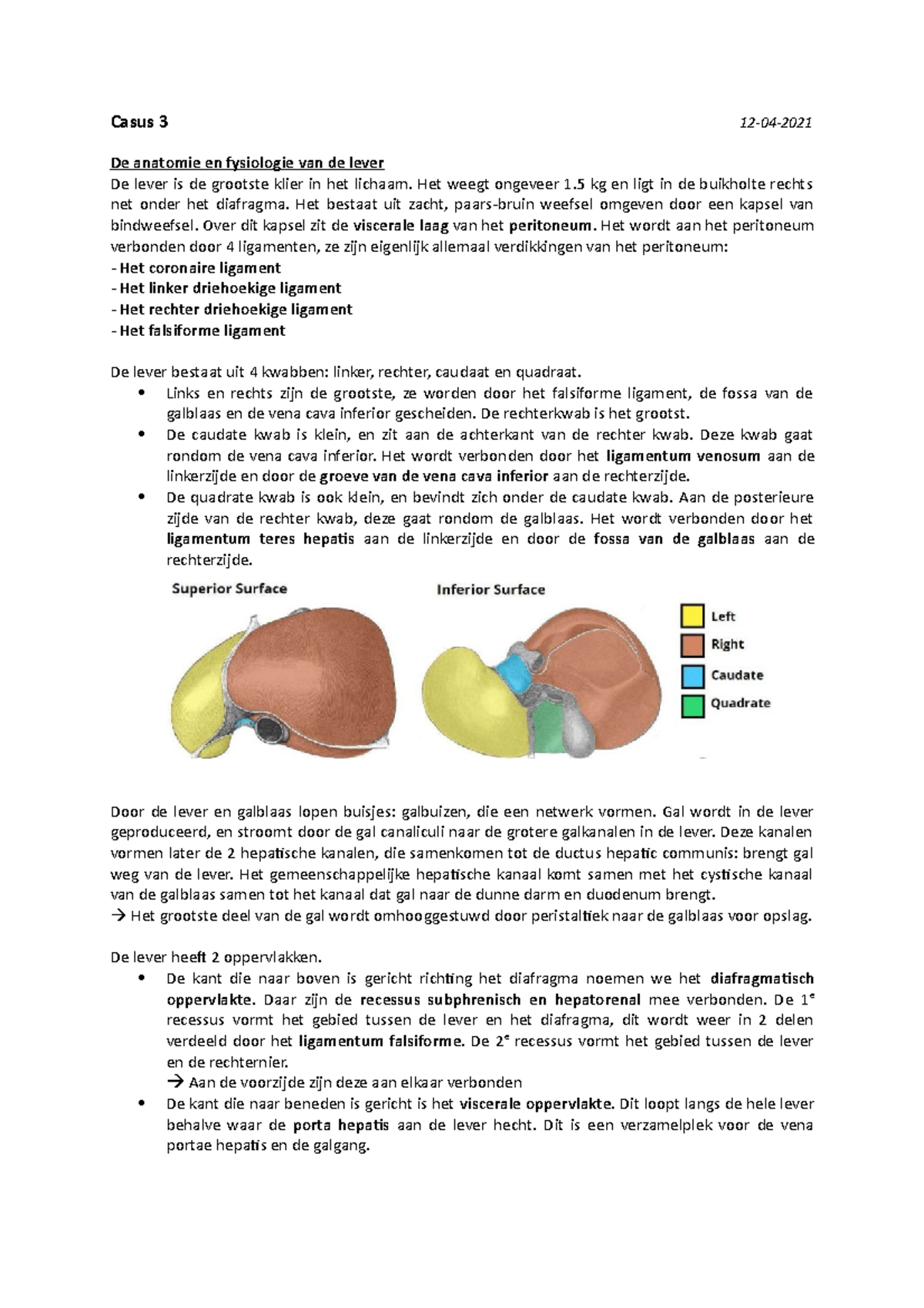Casus 3 - Casus 3 12-04- De anatomie en fysiologie van de lever De ...