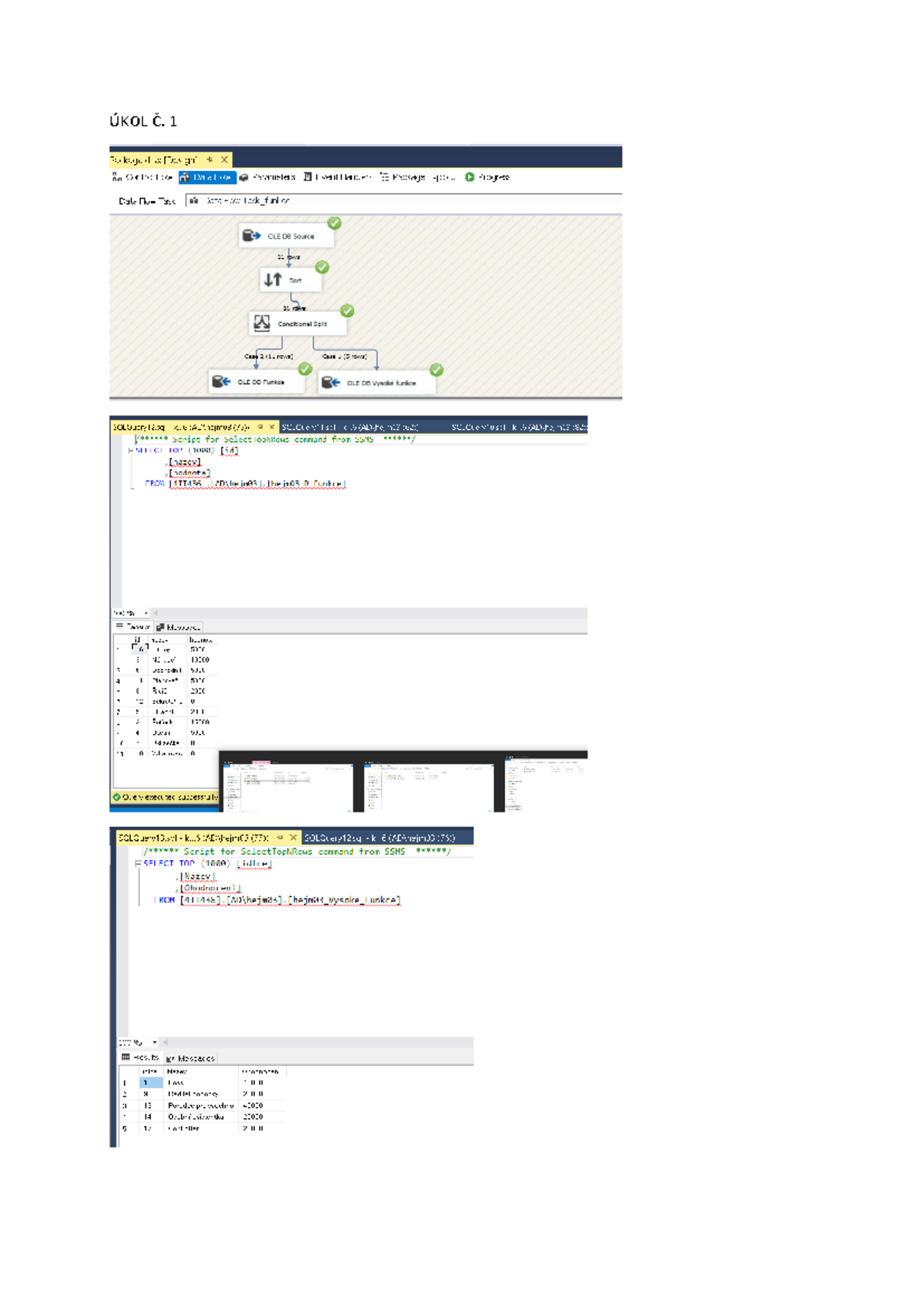 4it436 5 týden domácí úkol - Business Intelligence - ÚKOL Č. Úkol č ...