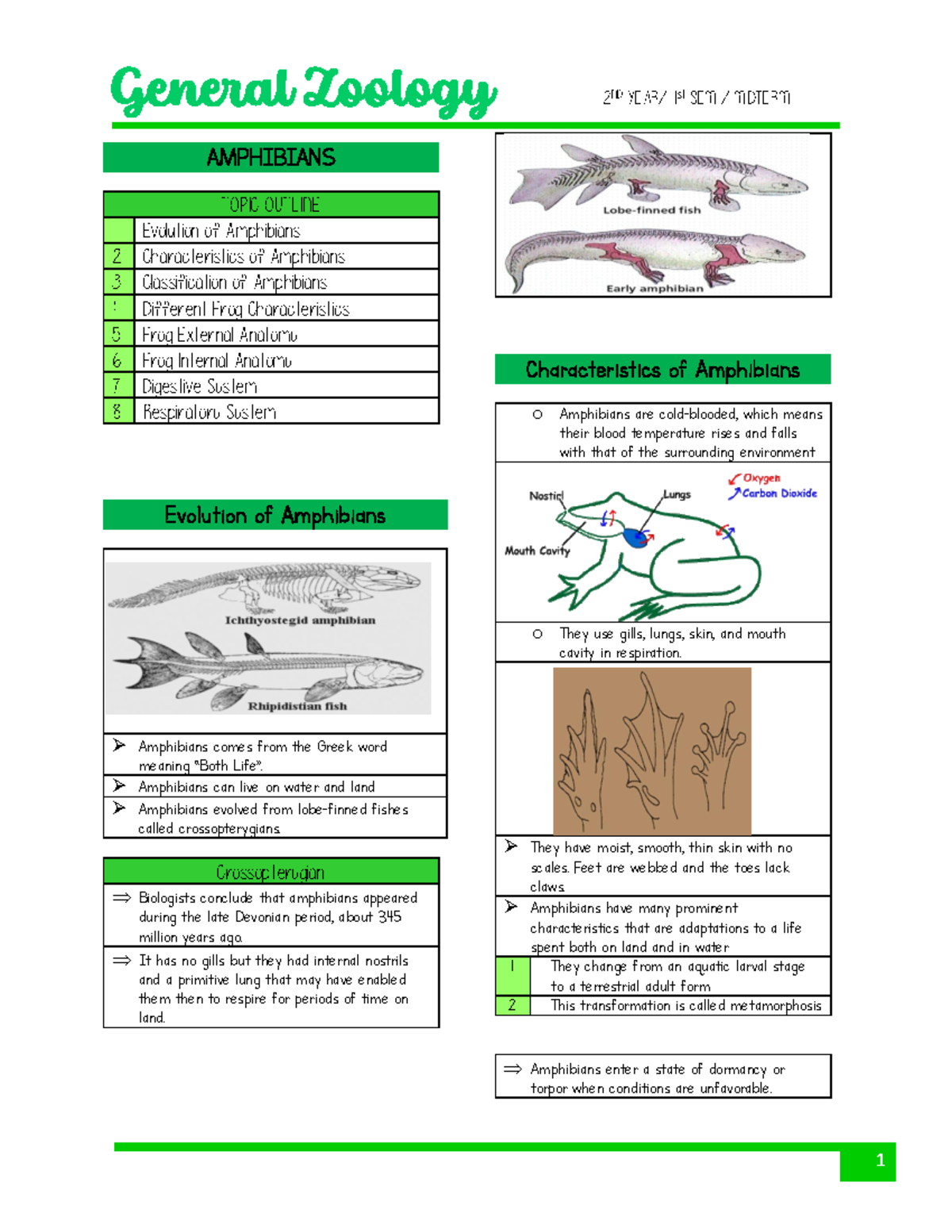 Amphibians - N/A - TOPIC OUTLINE 1 Evolution of Amphibians 2 ...
