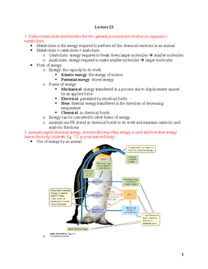 Lecture 7 questions - Lecture 7 questions Explain Otto Loewi’s ...