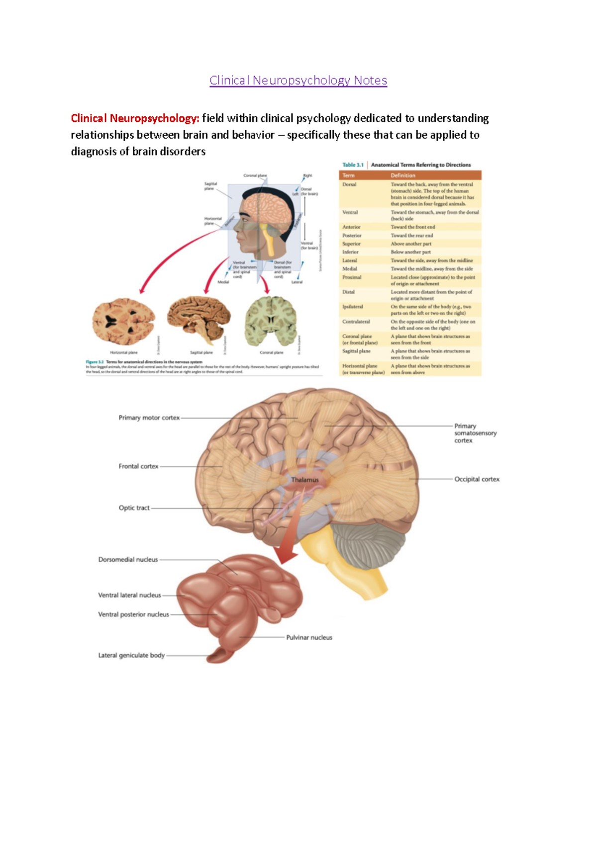 Clinical Neuropsychology Notes - Clinical Neuropsychology Notes ...