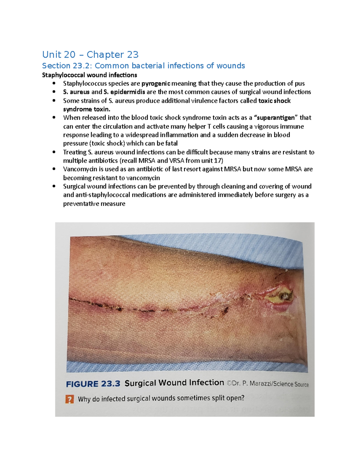 Unit 20 – Chapter 23 - Unit 20 Chapter 23 Section 23: Common bacterial ...