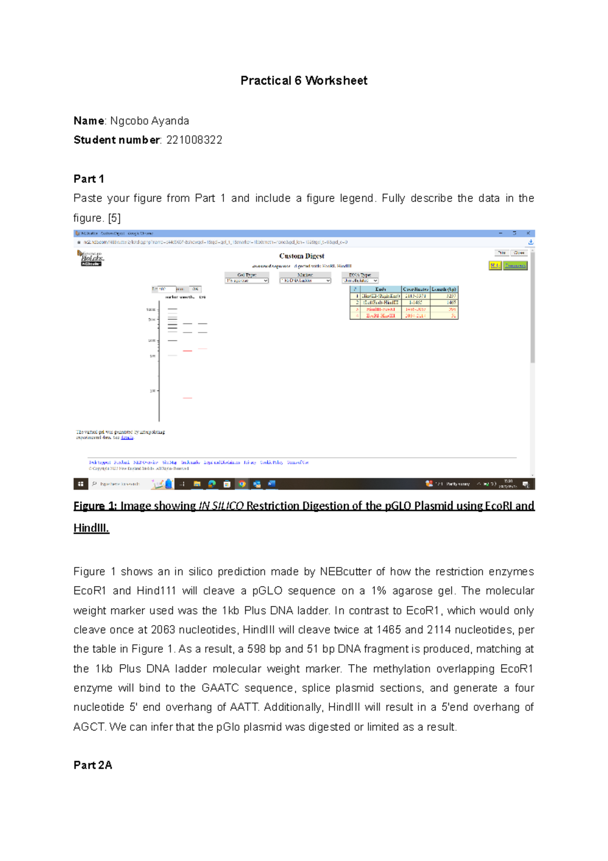 RDNA202 PRAC 6 A - Recombinant DNA - Practical 6 Worksheet Name: Ngcobo Ayanda Student number ...
