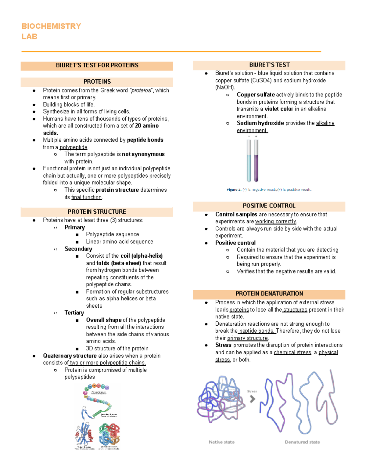 Biochem LAB - Midterm - LAB ...
