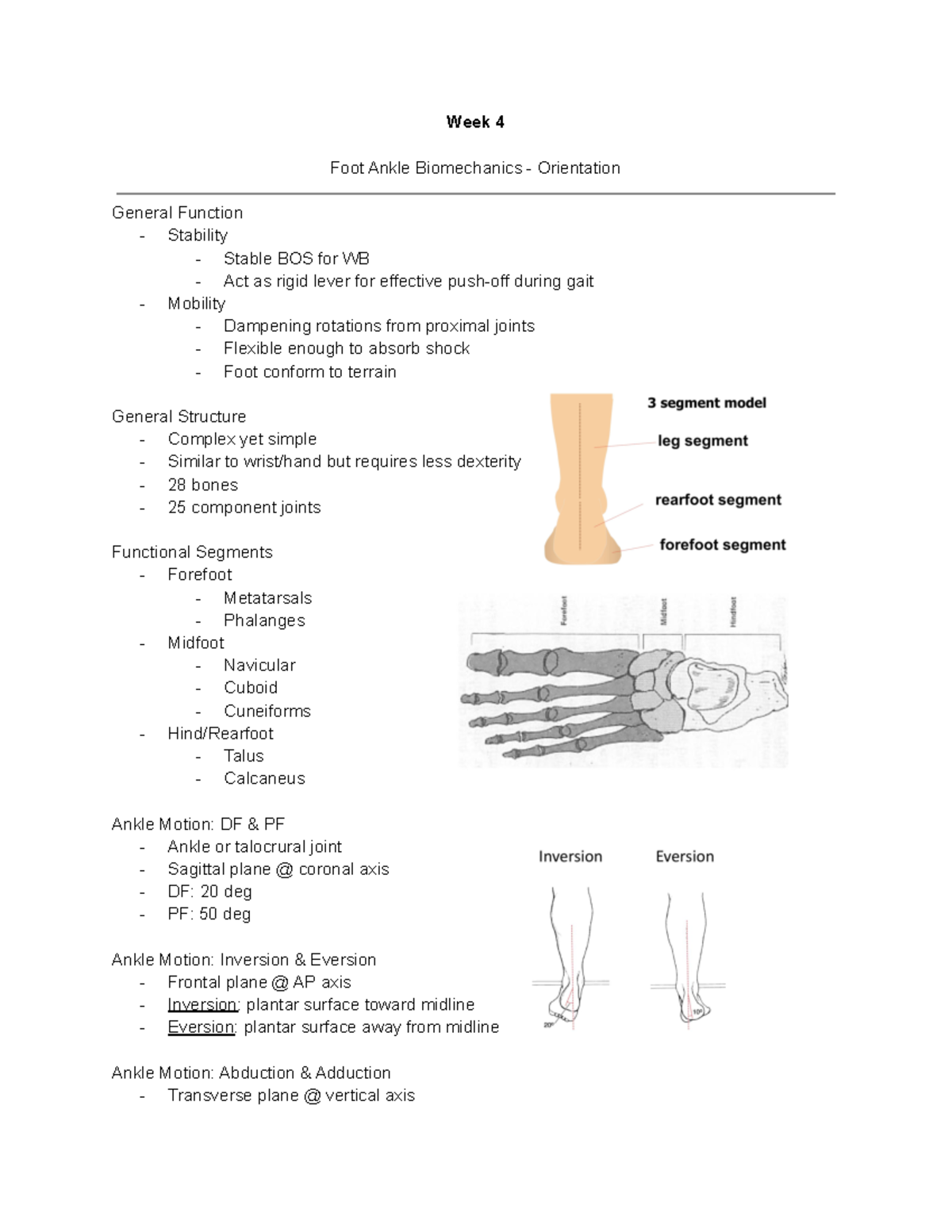MSK II- Exam 2: The foot- Tib/fib to toes - Week 4 Foot Ankle ...