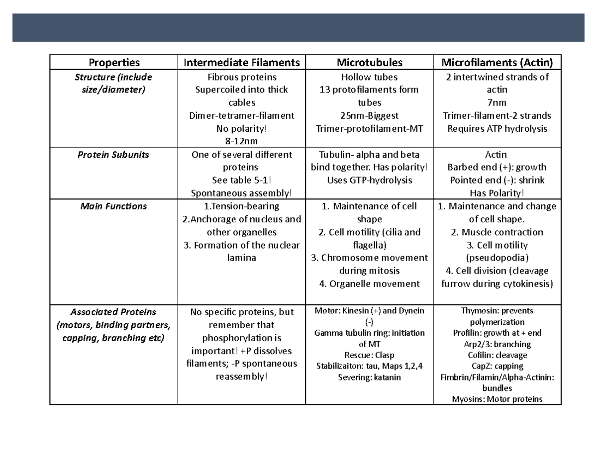 Answers for Compare and Contrast Cytoskeleton Worksheet - Properties ...