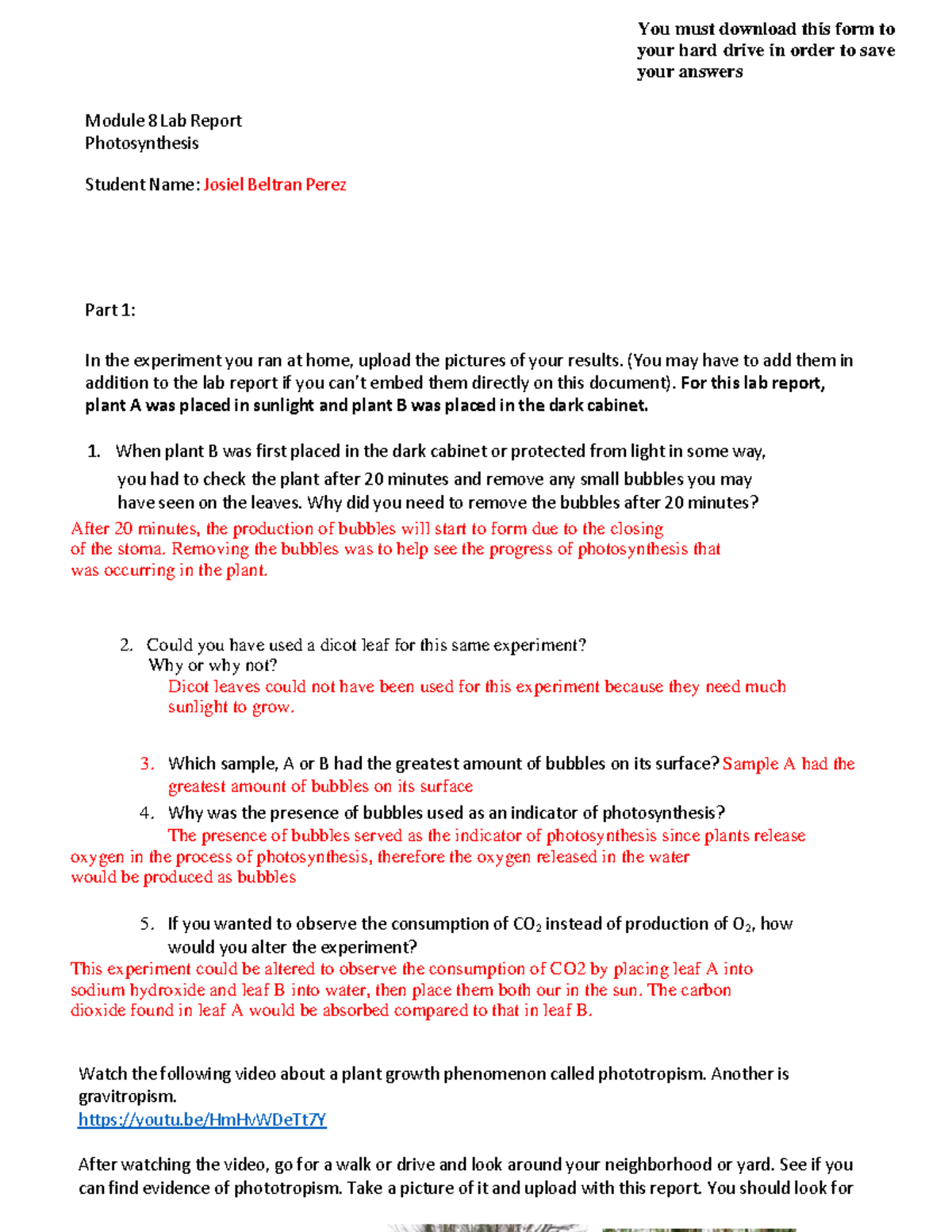 Module 7 lab report you guys might find these answers helpful for ...