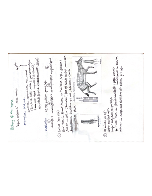 Age distinctions - Professor’s name : Jason Contreras - ASCI 51 - Studocu